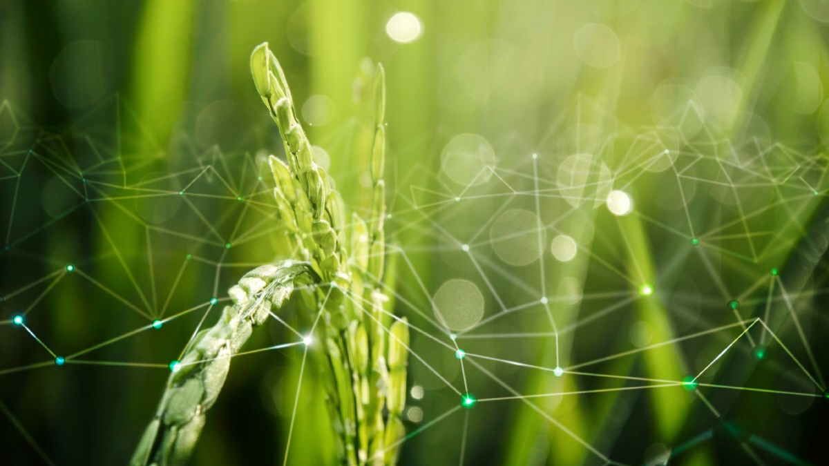Marketing Verde. Un estudio sobre la evolución de la comunicación verde ...